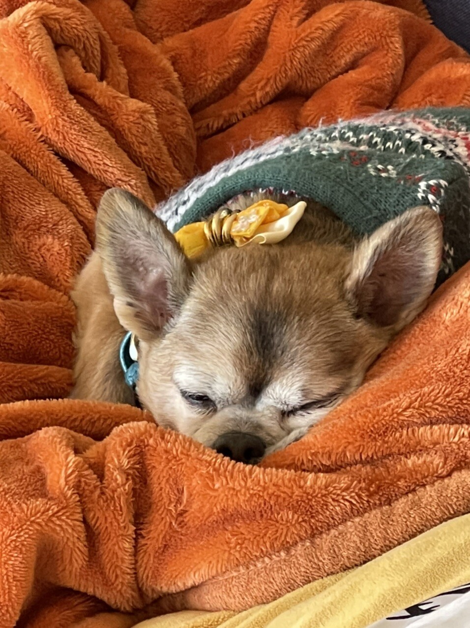 chizuのページ | YAMAP / ヤマップ