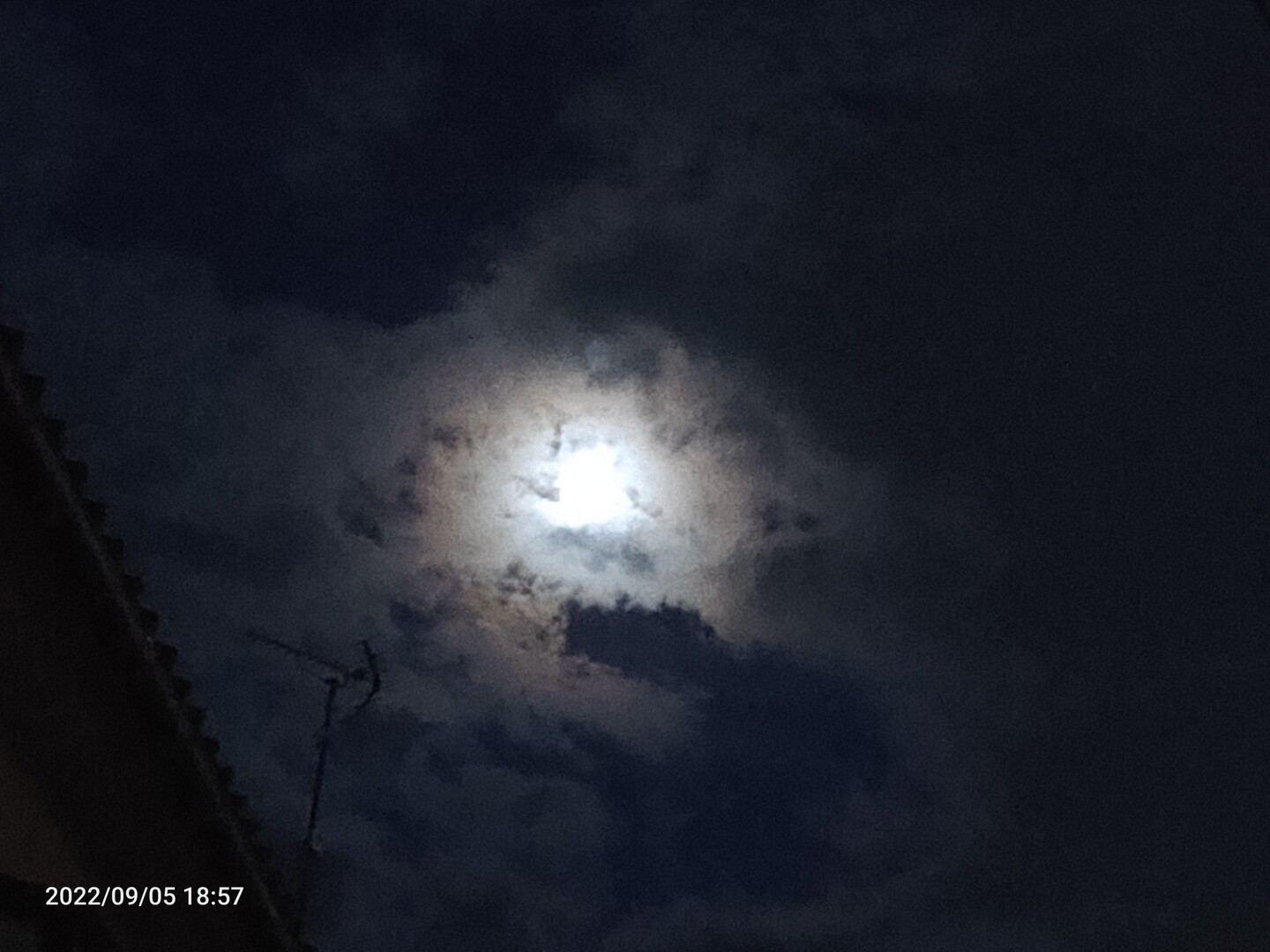 2kmランニング-2022-09-05 / ピッピさんのランニングの活動データ | YAMAP / ヤマップ