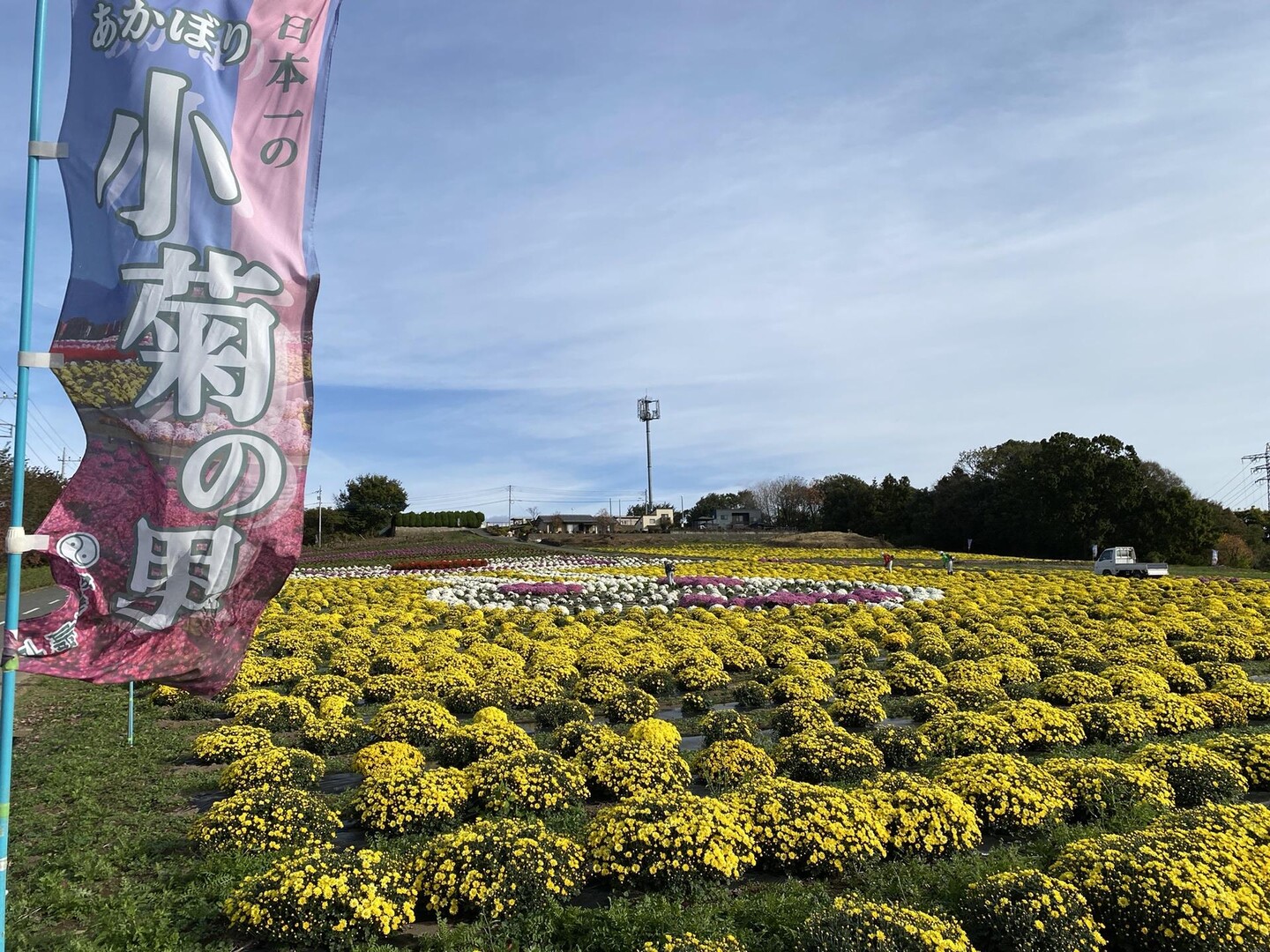 お仕事前の峰岸山(DOMO不要です🙇‍♀️) / aiさんの伊勢崎市の活動日記 | YAMAP / ヤマップ