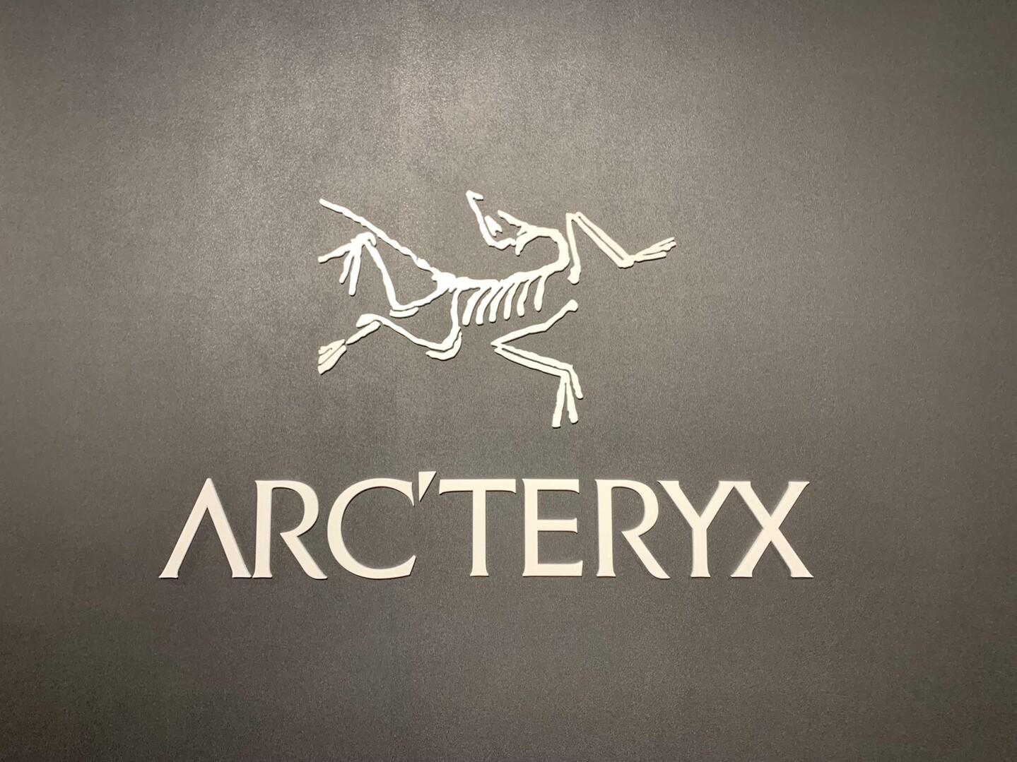 『DOMO 不要』 その後 の ARC'... / たかモンさんのモーメント | YAMAP / ヤマップ