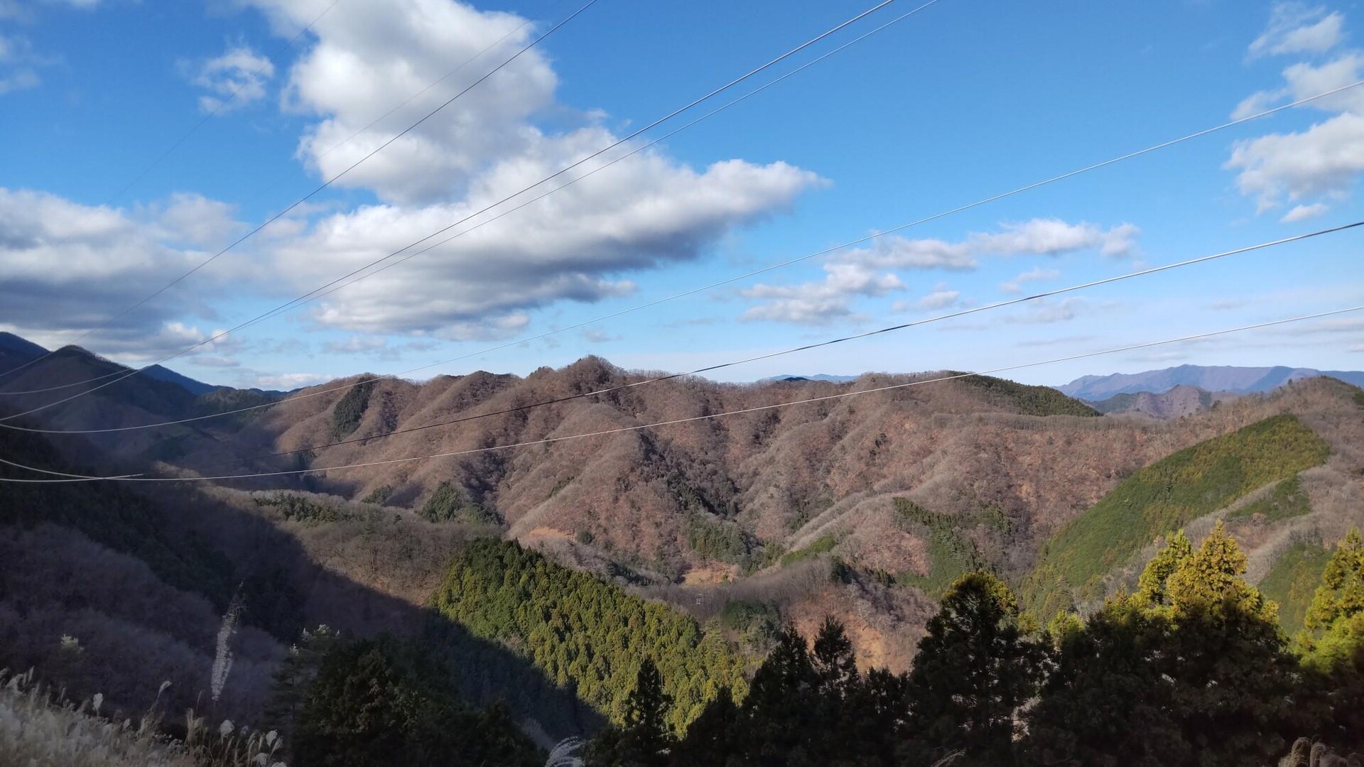 月夜野BS〜平野峠・入道丸・500m峰・綱子集落〜やまなみ温泉 / 441Mさんの大室山・畦ヶ丸山・菰釣山の活動日記 | YAMAP / ヤマップ