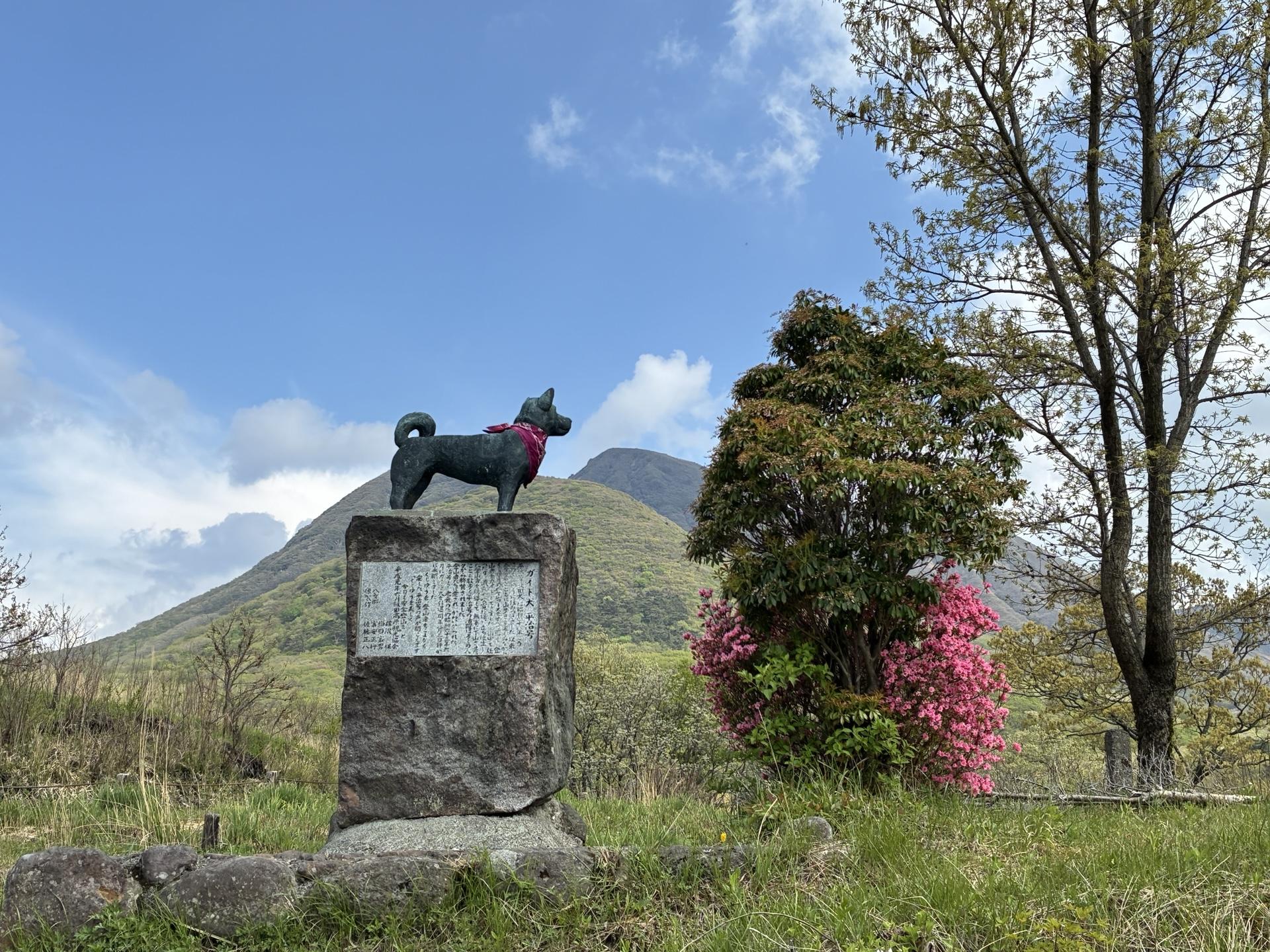 20250512 法華院温泉山荘 / nanahiroさんの九重山（久住山）・大船山・星生山の活動データ | YAMAP / ヤマップ