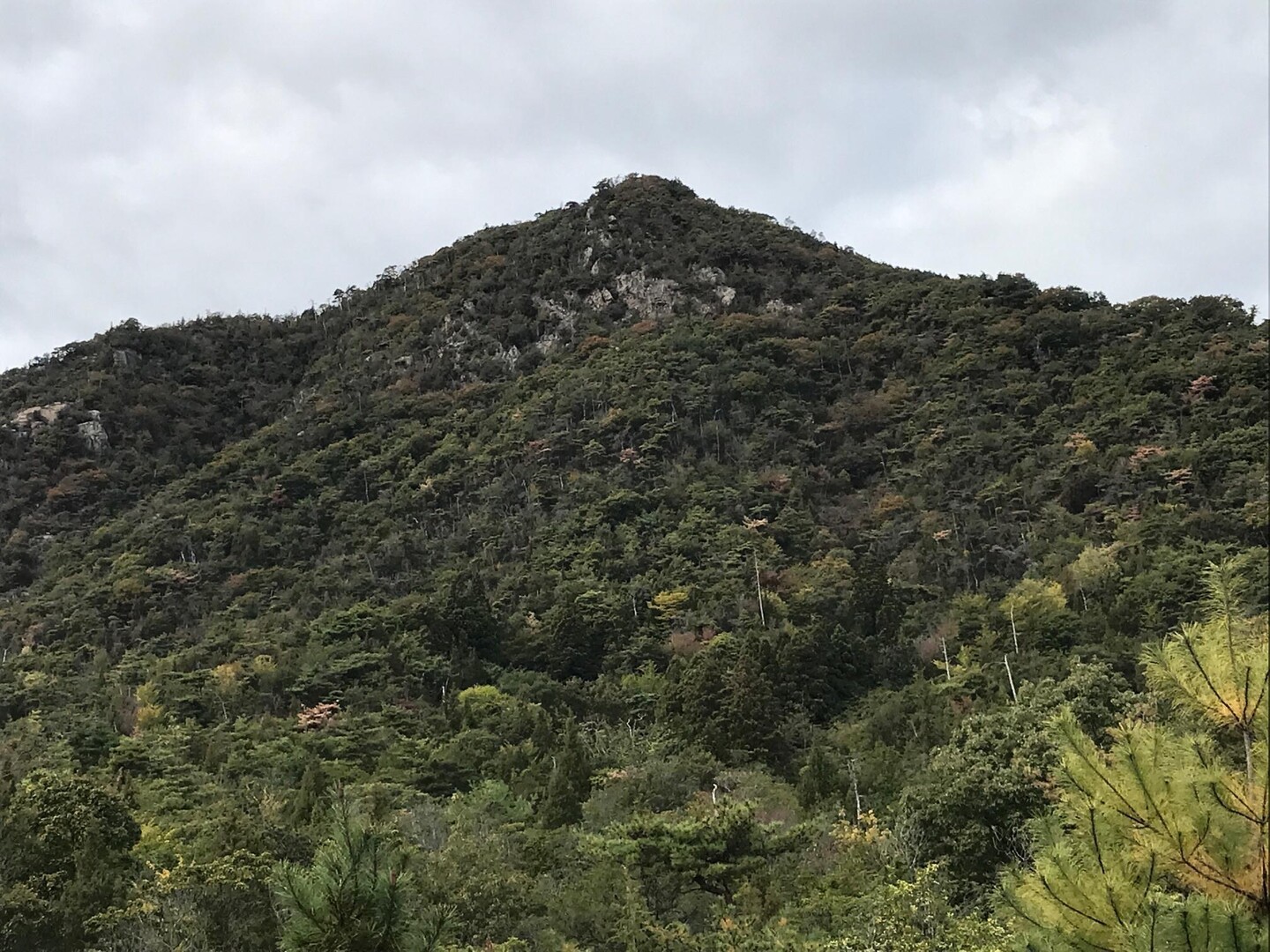 小田山で岩三昧 / ISO izoさんの小田山の活動データ | YAMAP / ヤマップ