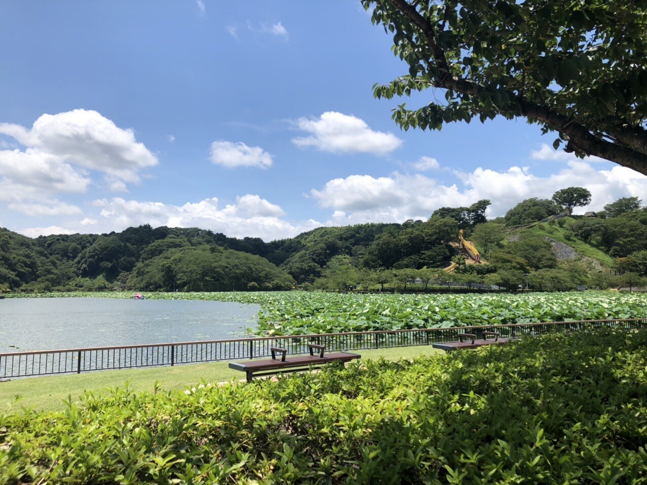今日の暑さではさすがに人も少ない。 蓮華... / Rさんのモーメント | YAMAP / ヤマップ