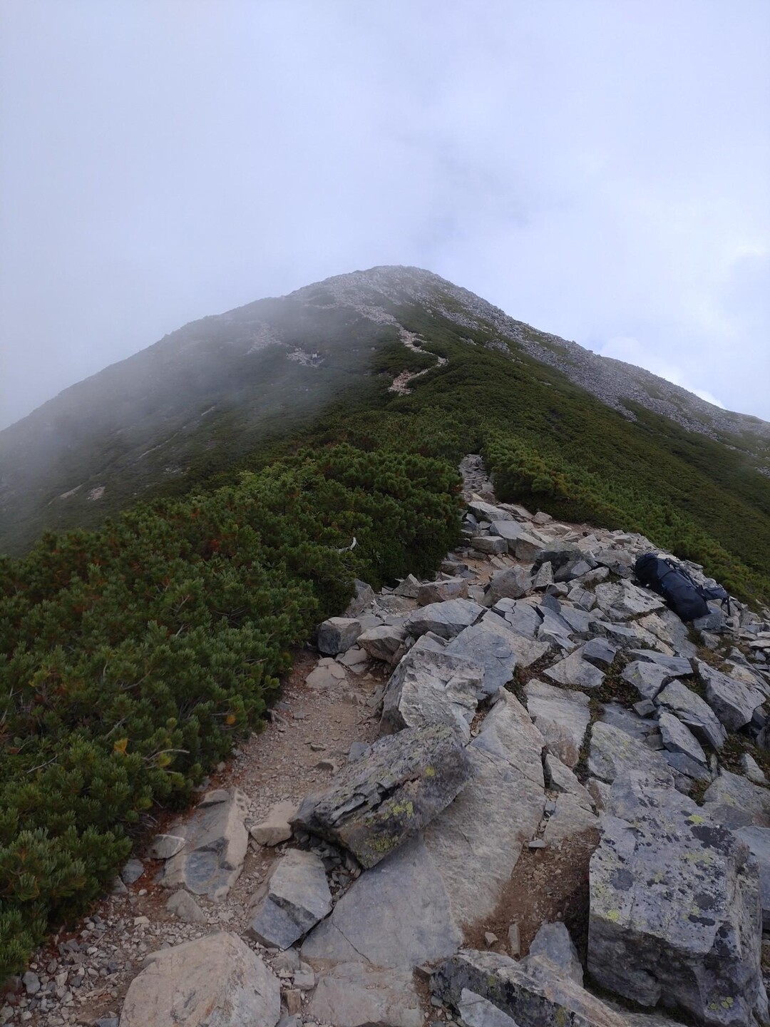 爺ヶ岳(南峰・中峰)31-1 / P-kanさんの鹿島槍ヶ岳・五竜岳（五龍岳）・唐松岳の活動データ | YAMAP / ヤマップ