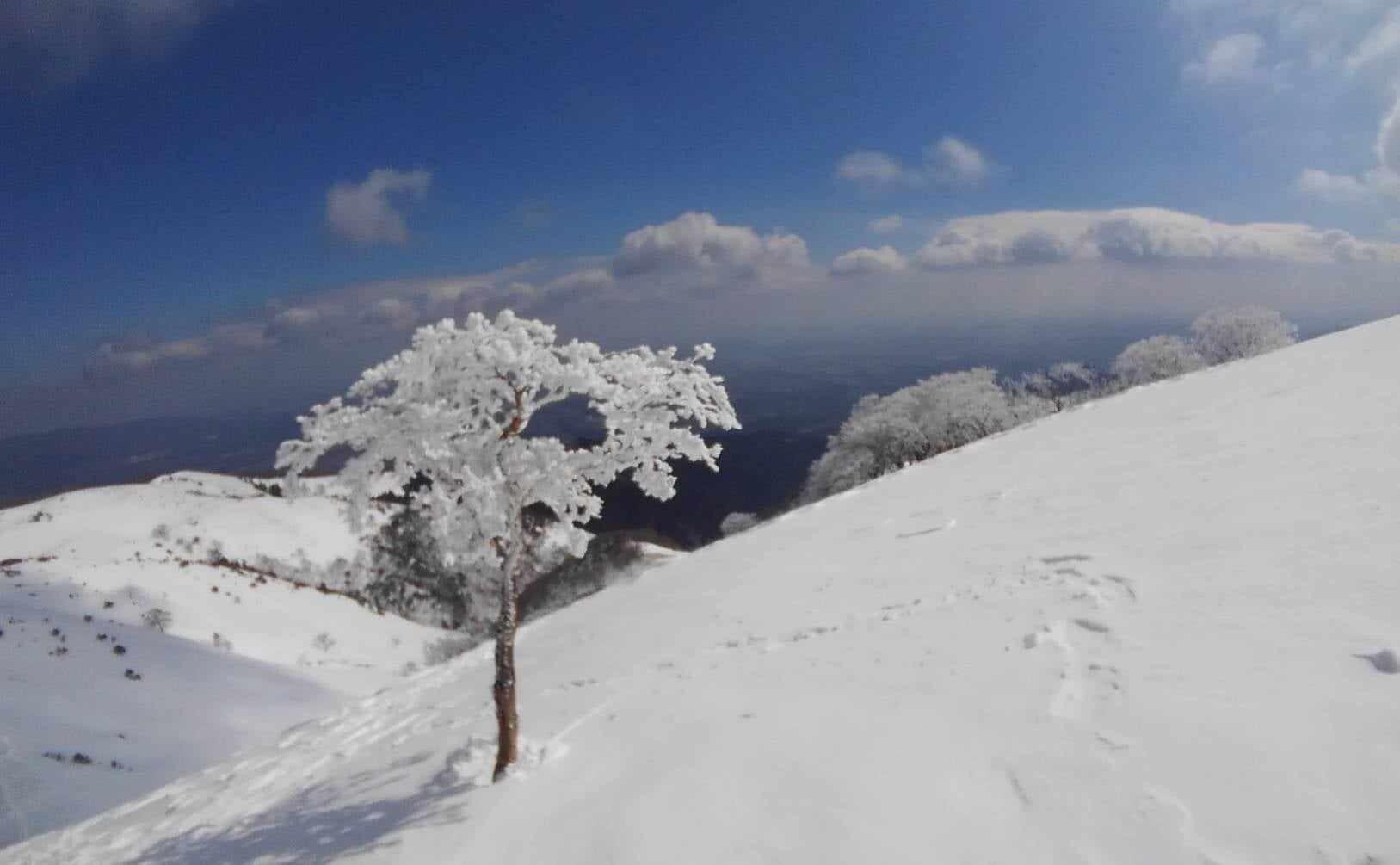 yattyのページ | YAMAP / ヤマップ