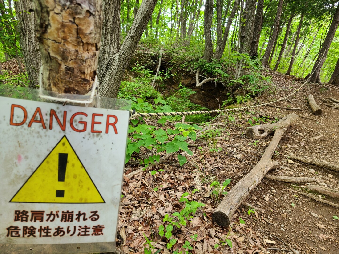 Yさんの投稿したフィールドメモ | YAMAP / ヤマップ