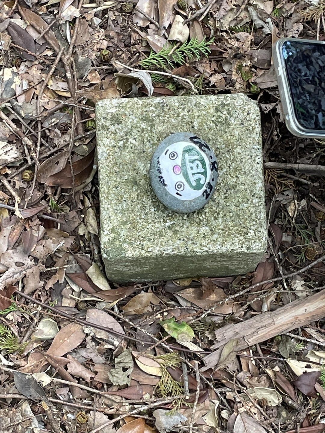 大平山 / JBT5さんの桜山の活動データ | YAMAP / ヤマップ