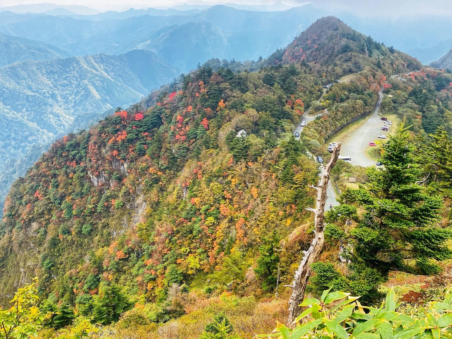 男山・瓶ヶ森 / Ycoさんの瓶ヶ森・伊予富士の活動データ | YAMAP / ヤマップ