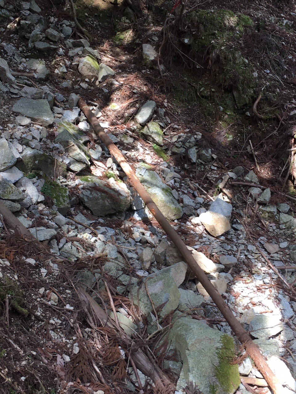 kaz330さんの投稿したフィールドメモ | YAMAP / ヤマップ