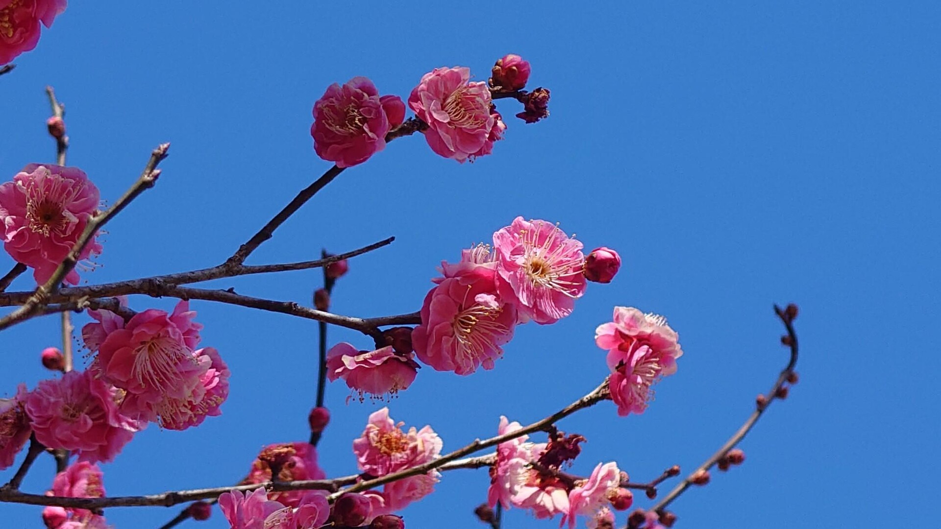 rinさんの投稿したフィールドメモ | YAMAP / ヤマップ