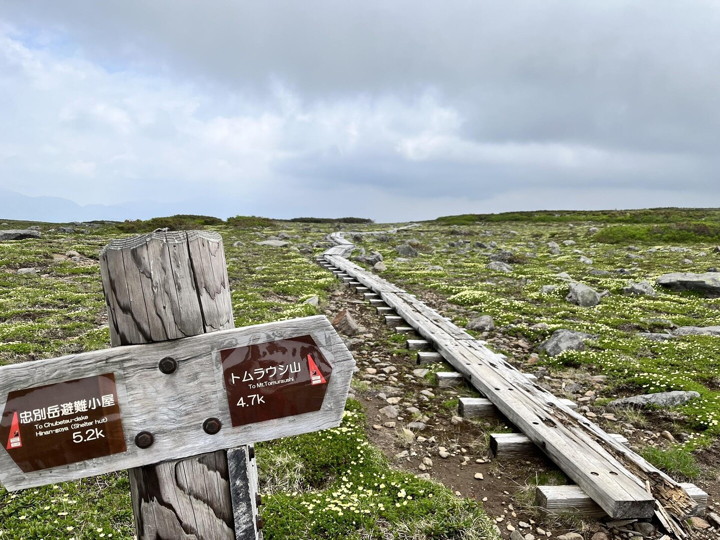 トムラウシ山の向こう側 トムラウシ温泉から天人峡へ / 山ばあばさんのGT3 2の活動データ | YAMAP / ヤマップ