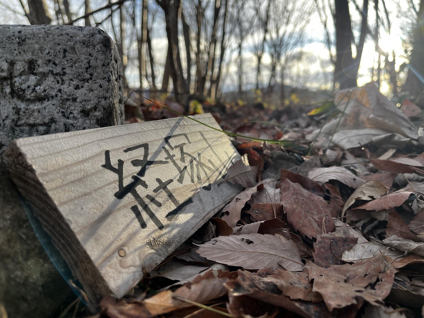 大平山・経塚山 / Hachiさんの十万劫山の活動データ | YAMAP / ヤマップ
