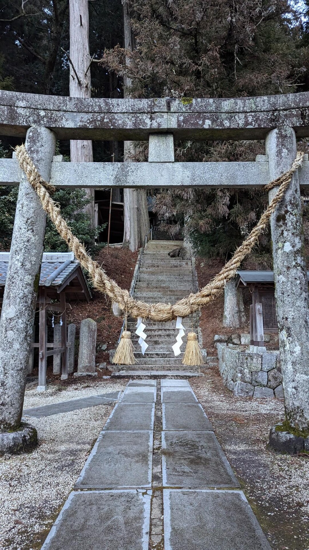 恵那神社 / masaさんのモーメント | YAMAP / ヤマップ