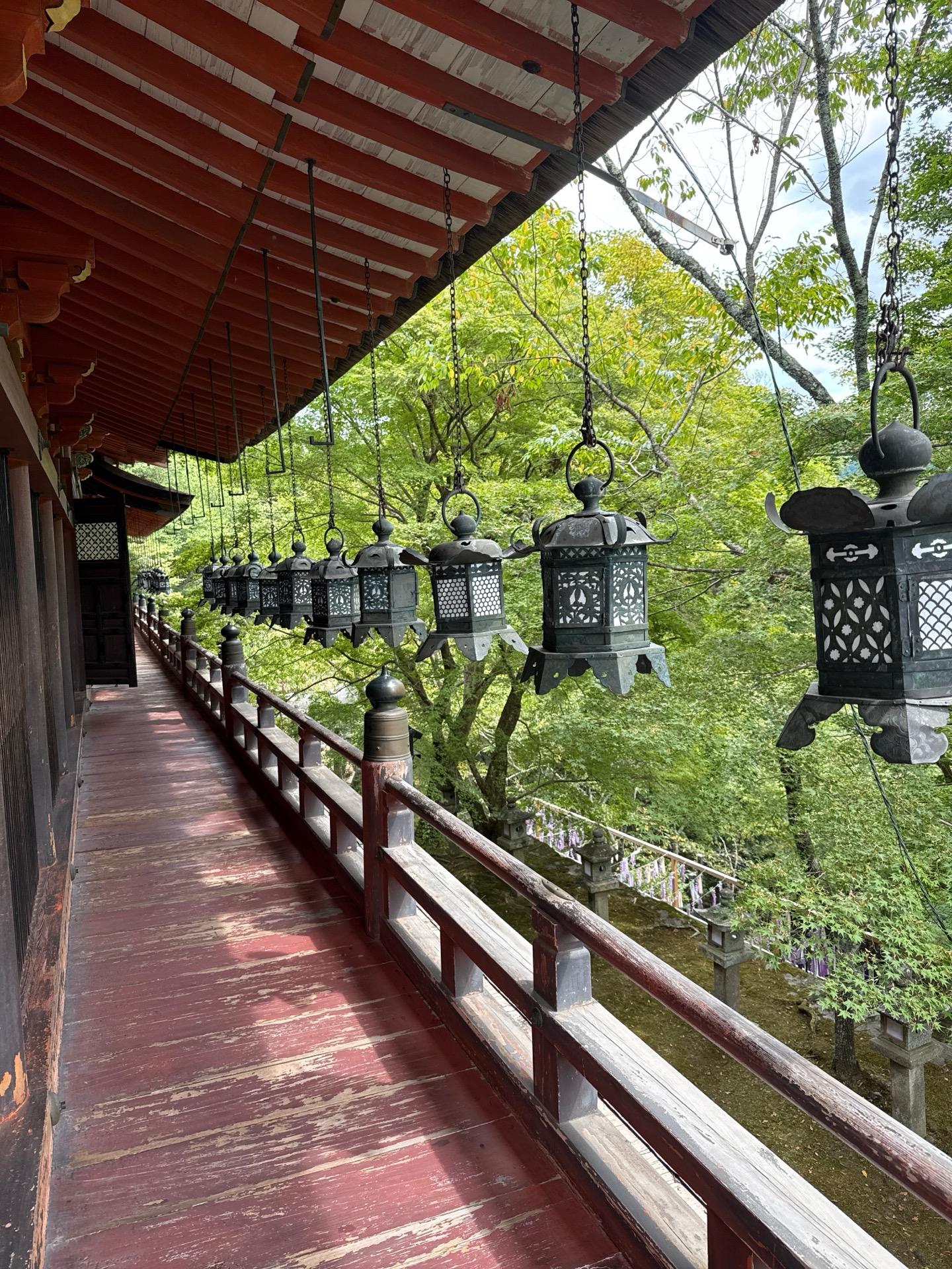 談山・御破裂山 / monさんの音羽山・竜門岳（龍門岳）・熊ヶ岳の活動データ | YAMAP / ヤマップ