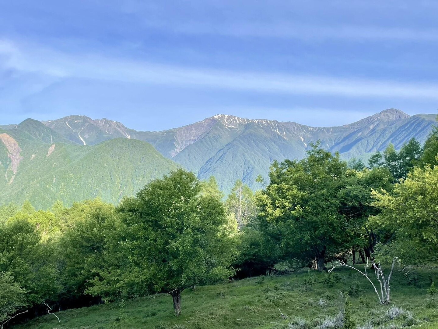 今日の夜叉神峠。梅雨の晴れ間 眩しい白峰... / senさんのモーメント | YAMAP / ヤマップ
