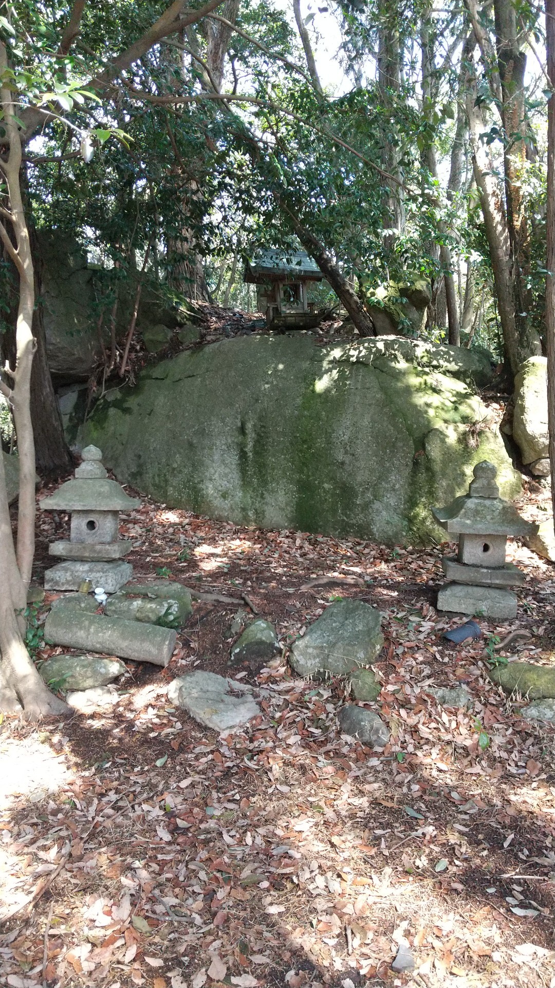 ShinjiHさんの投稿したフィールドメモ | YAMAP / ヤマップ