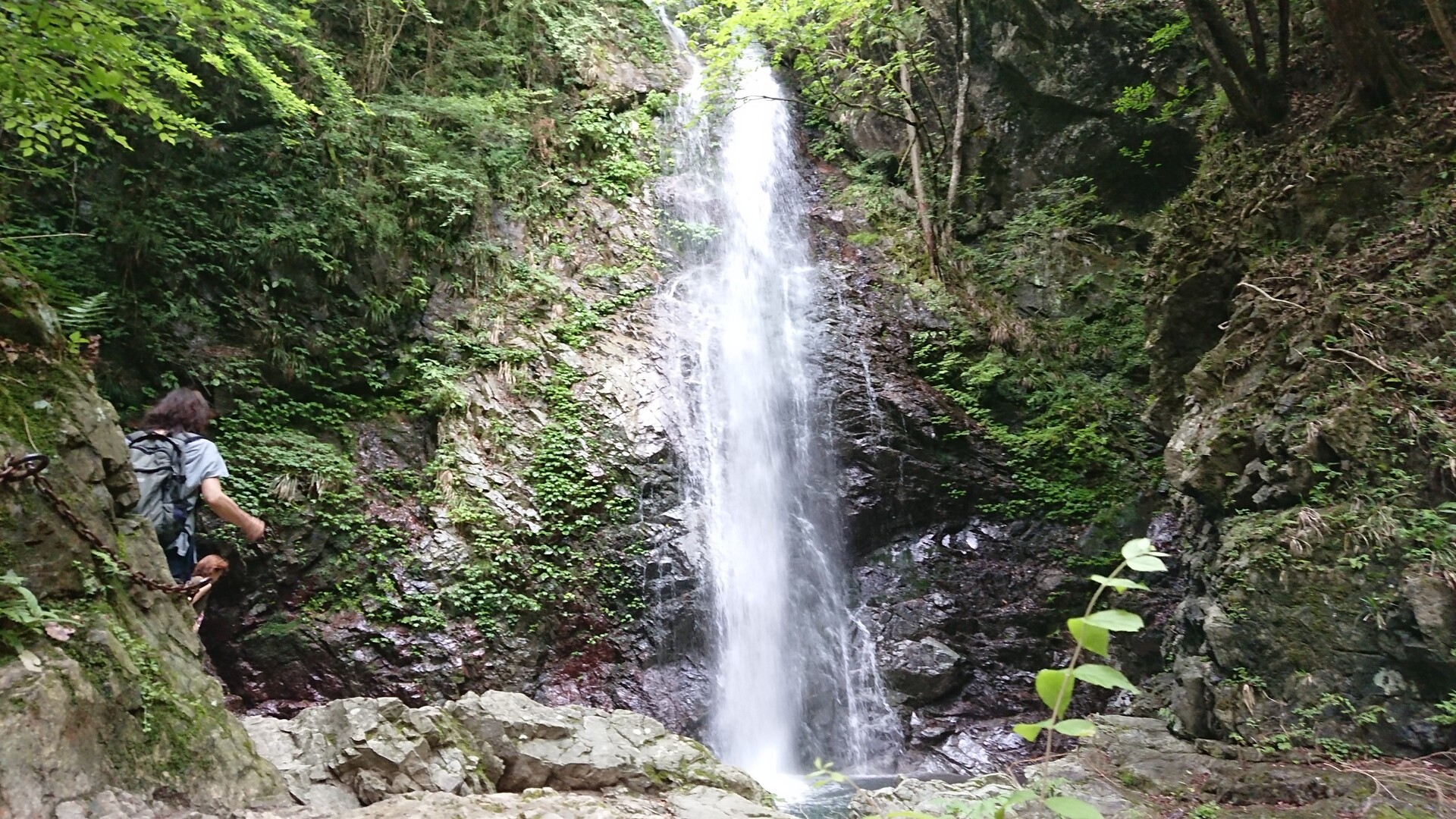 関東ふれあいの道【東京⑤】鍾乳洞と滝のみち / konikoniさんの大岳山・御岳山・御前山の活動データ | YAMAP / ヤマップ
