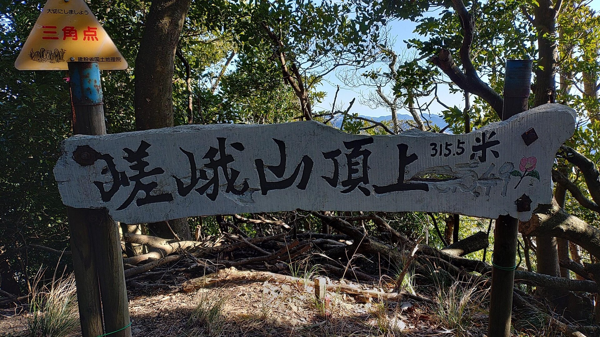スイセンピーク・嵯峨山 / NANAさんの伊予ヶ岳・人骨山・津森山の活動データ | YAMAP / ヤマップ