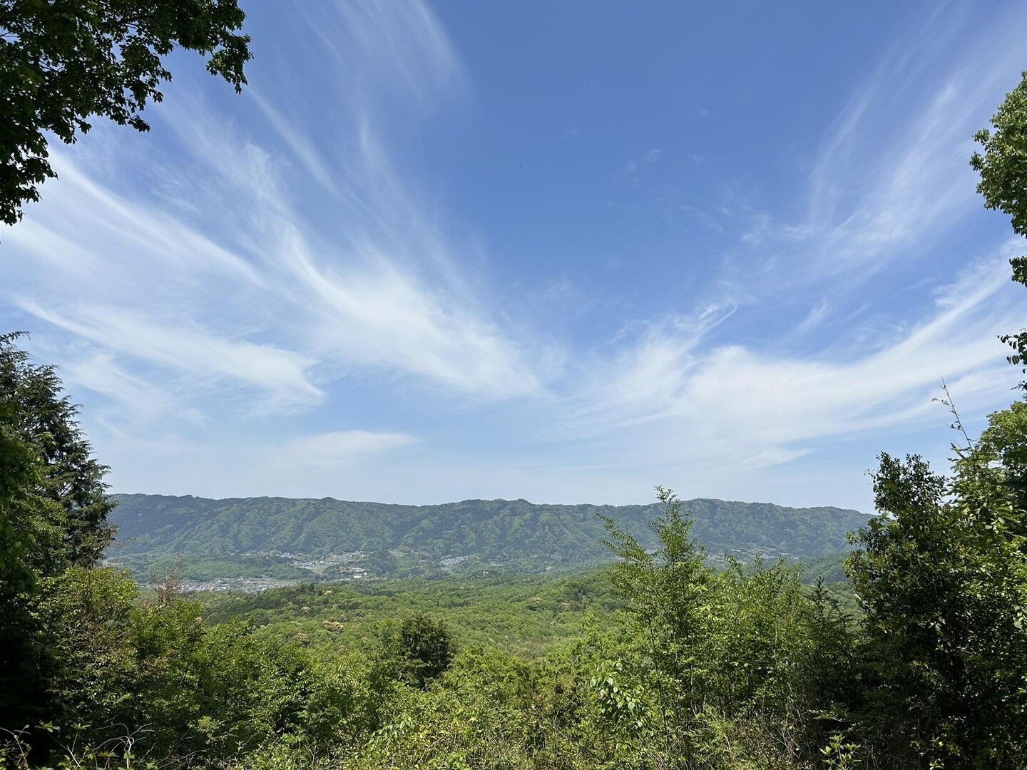 竜王山 / annaさんの竜王山の活動データ | YAMAP / ヤマップ