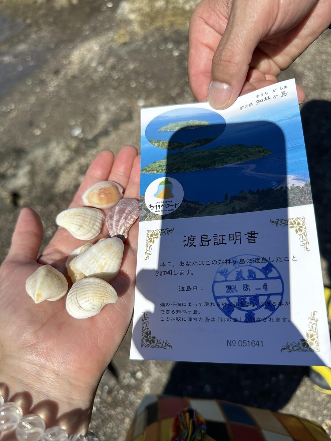 知林島 指宿市-2024-08-01 / yumieさんの指宿市の活動データ | YAMAP / ヤマップ