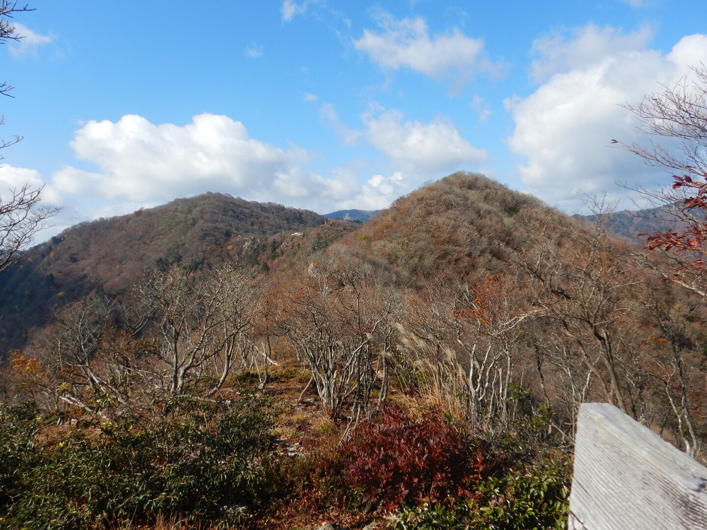ヤケオ山（体力維持） / kol-hiraさんの比良山地・武奈ヶ岳・釈迦岳の活動データ | YAMAP / ヤマップ