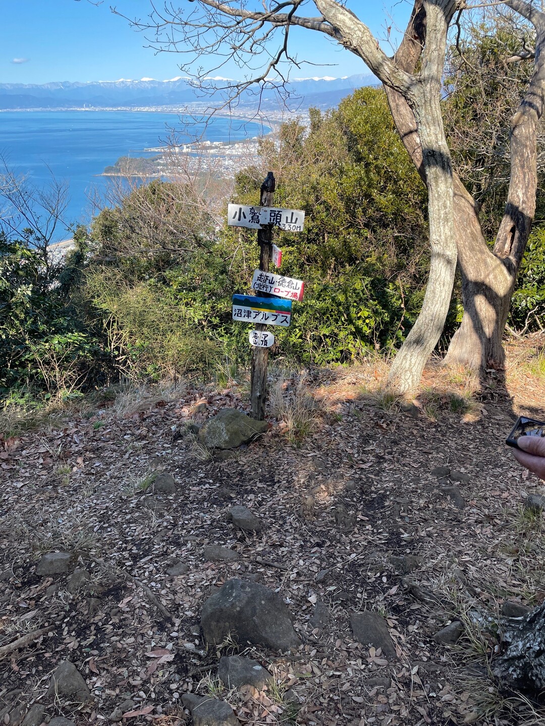 大嵐山・茶臼山・大平山・鷲頭山・小鷲頭山・志下山・象の背・徳倉山・横山・香貫山 / とったんさんの沼津アルプス・鷲頭山・香貫山の活動データ | YAMAP / ヤマップ