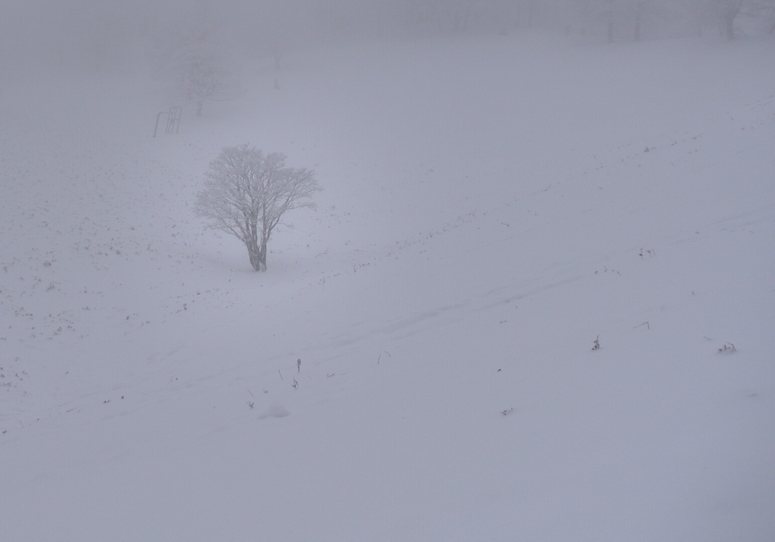 明神平・前山 ガスは抜けず / ⛅Nori-jiさんの桧塚奥峰・明神岳・薊岳の活動データ | YAMAP / ヤマップ