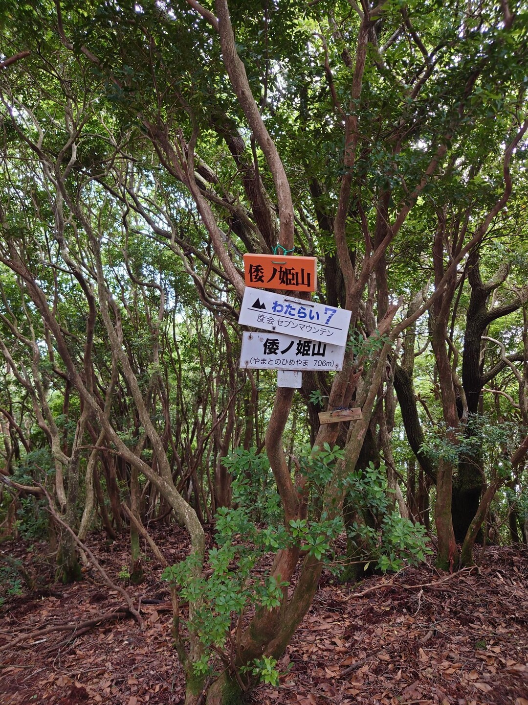 倭ノ姫山・姫のコブ / dewarsさんの神出ノ峰の活動データ | YAMAP / ヤマップ