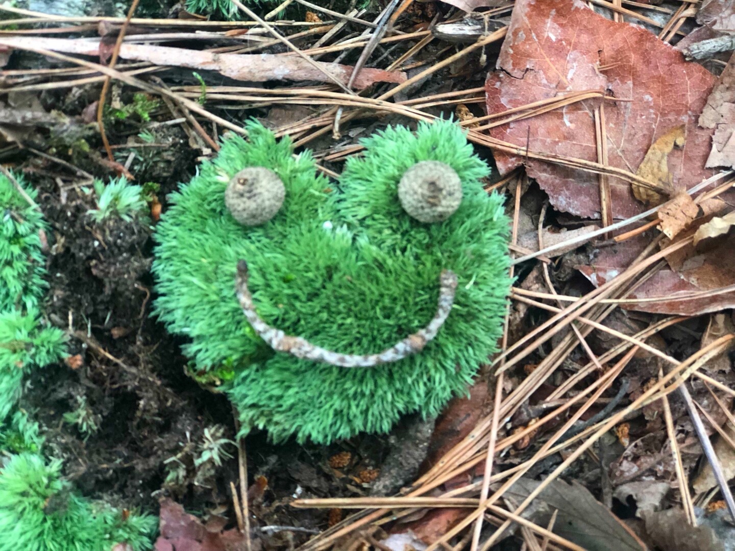 足尾山・御嶽山・雨巻山・三登谷山 / PANAPPさんの雨巻山・足尾山・三登谷山・高舘山の活動データ | YAMAP / ヤマップ
