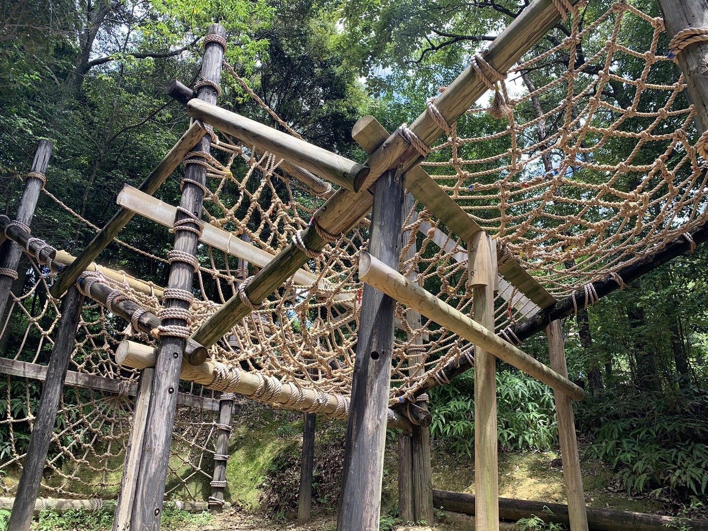 浜松グリーンランド 40種類あって半分... / mikiさんのモーメント | YAMAP / ヤマップ