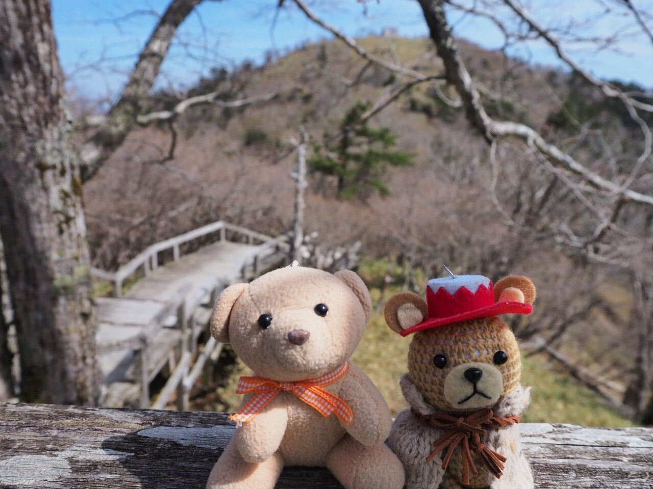 ★ 大台ヶ原山 ★ 久しぶりの体感‼️ / sakura.nnさんの大台ヶ原山・日出ヶ岳・大杉谷の活動日記 | YAMAP / ヤマップ