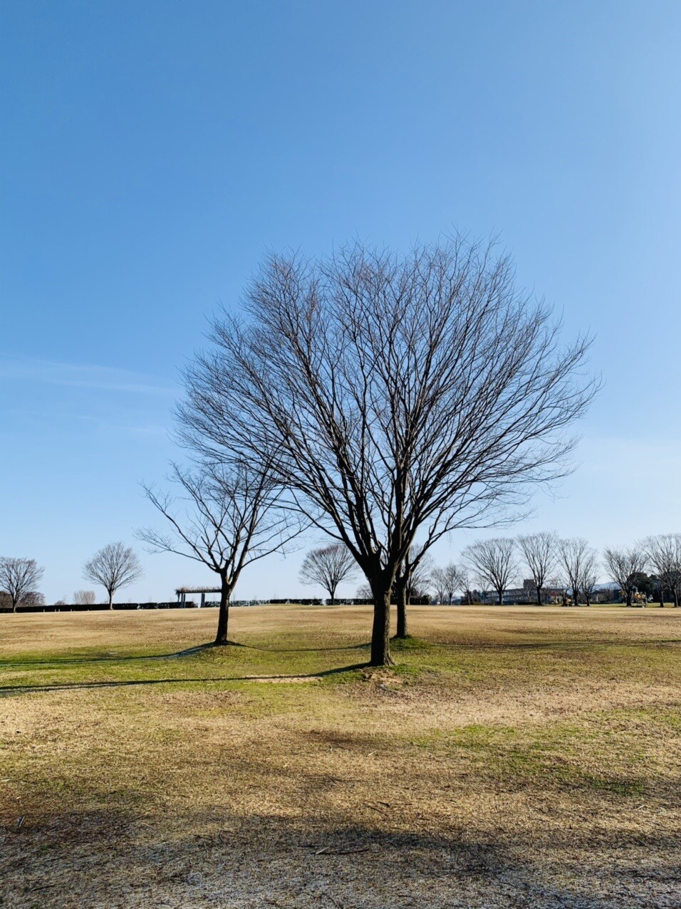 快晴の白山を眺めながらウォーキング / keyさんのモーメント | YAMAP / ヤマップ