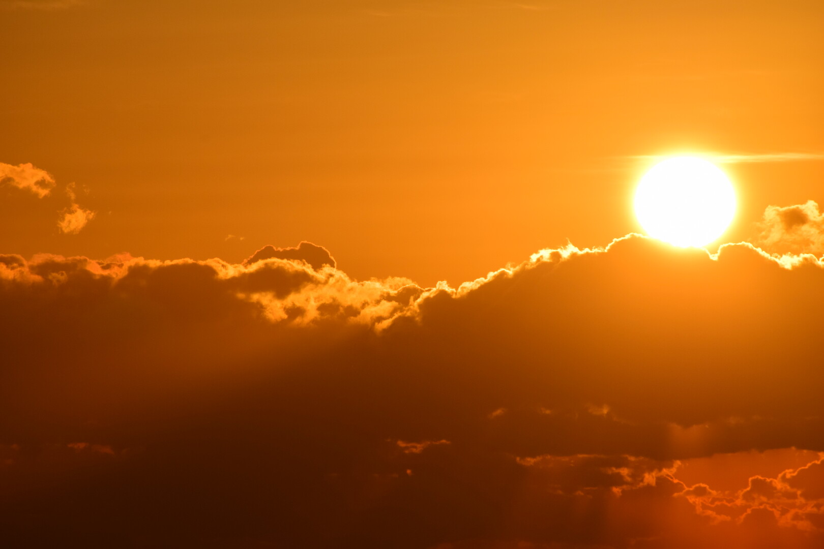 🌅朝熊ヶ岳で初日の出 / sakkuさんの朝熊ヶ岳（朝熊山）・鼓ヶ岳・鷲嶺（袴腰山）の活動データ | YAMAP / ヤマップ