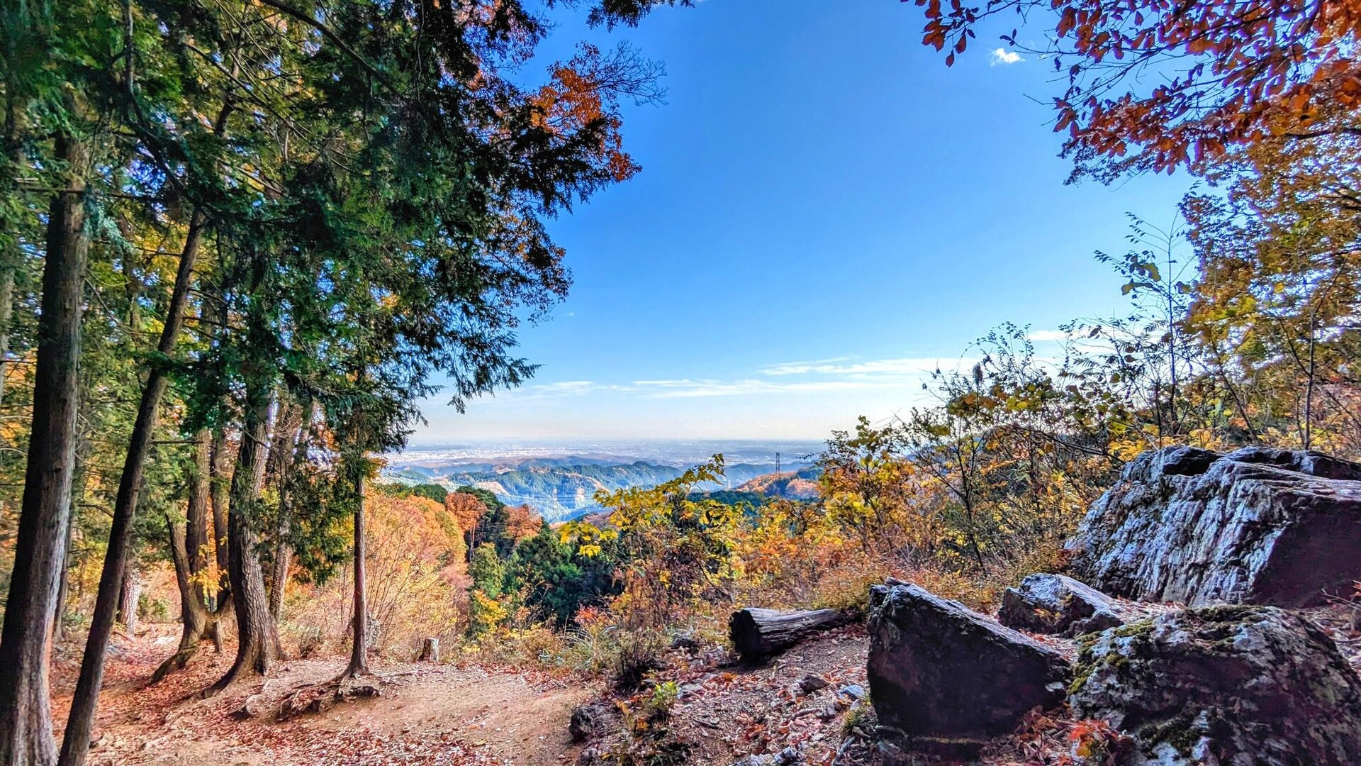 滝本S…御岳山 日の出山…つるつる温泉G / OK3YOさんの大岳山・御岳山・御前山の活動データ | YAMAP / ヤマップ