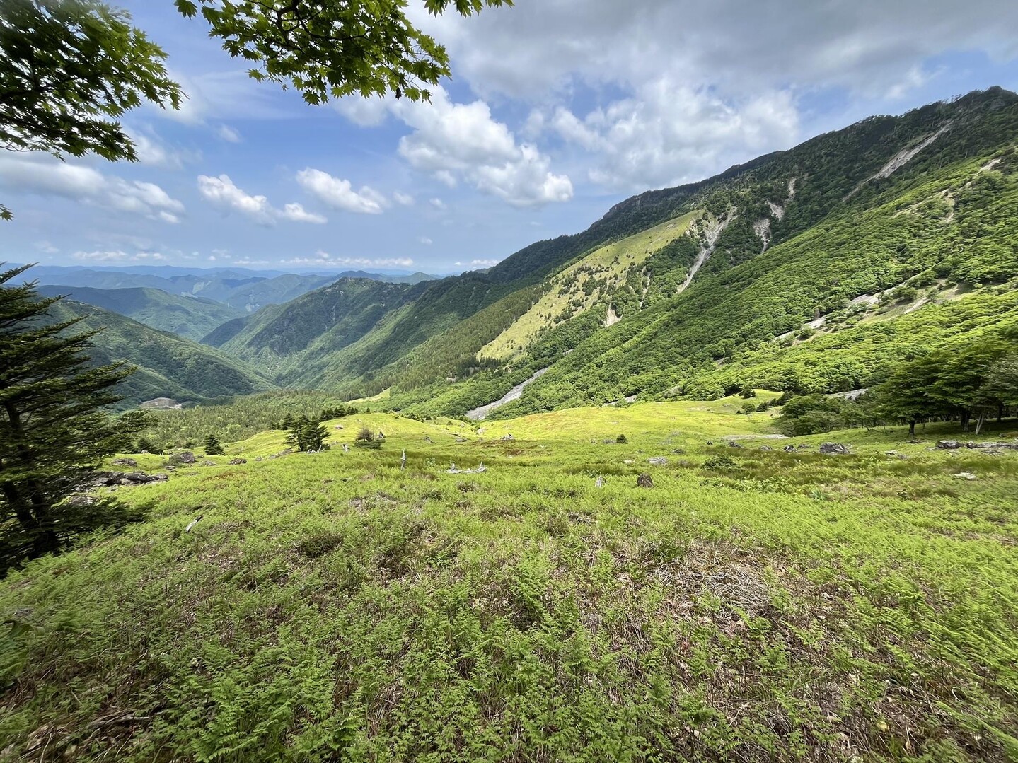 大峰の秘境 ️カラハッソウ谷から神仙平、七面山を周回⛰️ / OLD HOUSEさんの八経ヶ岳の活動データ | YAMAP / ヤマップ