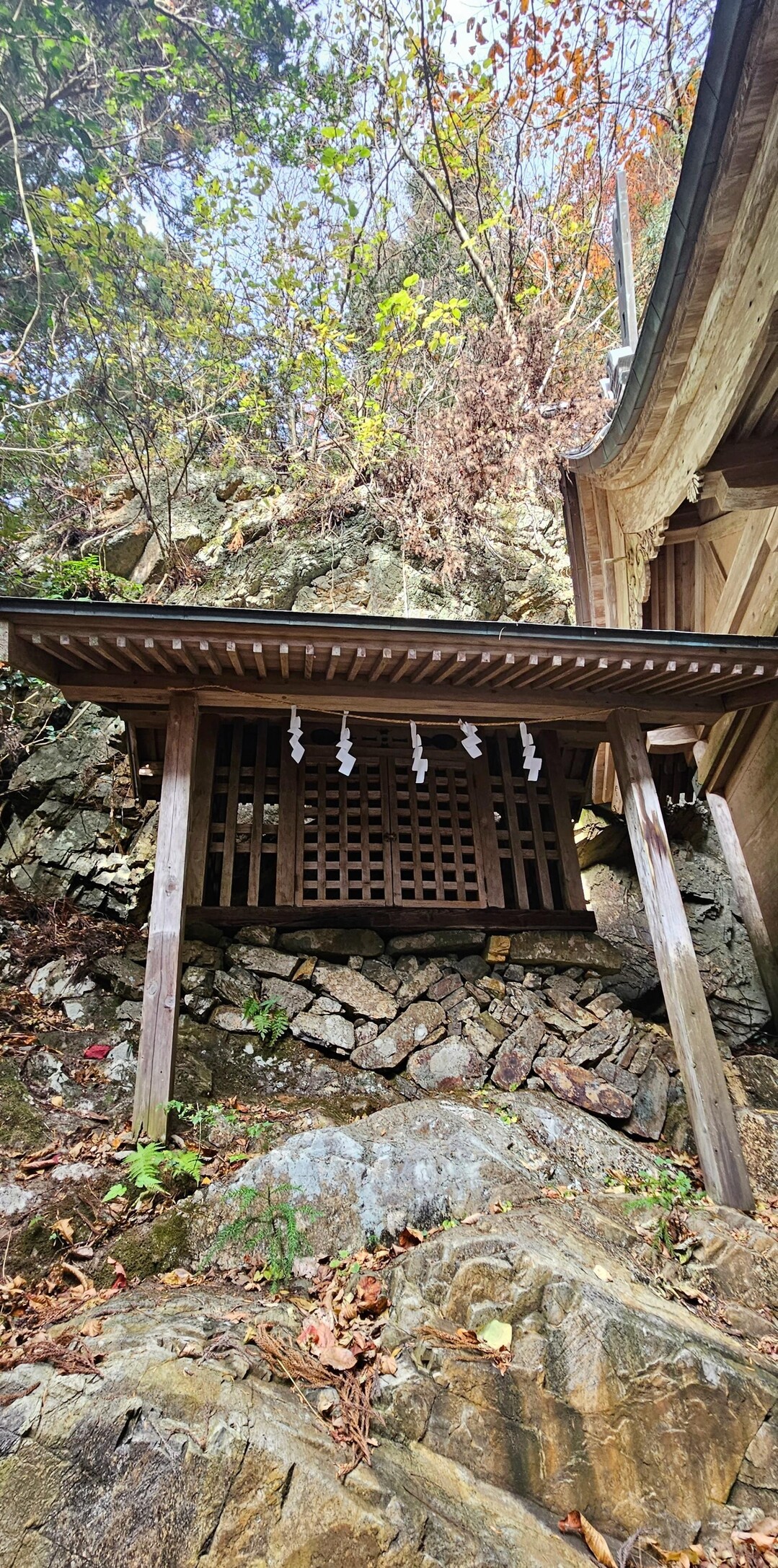 岩倉山 293m / ケンさんの徳仙丈山の活動データ | YAMAP / ヤマップ