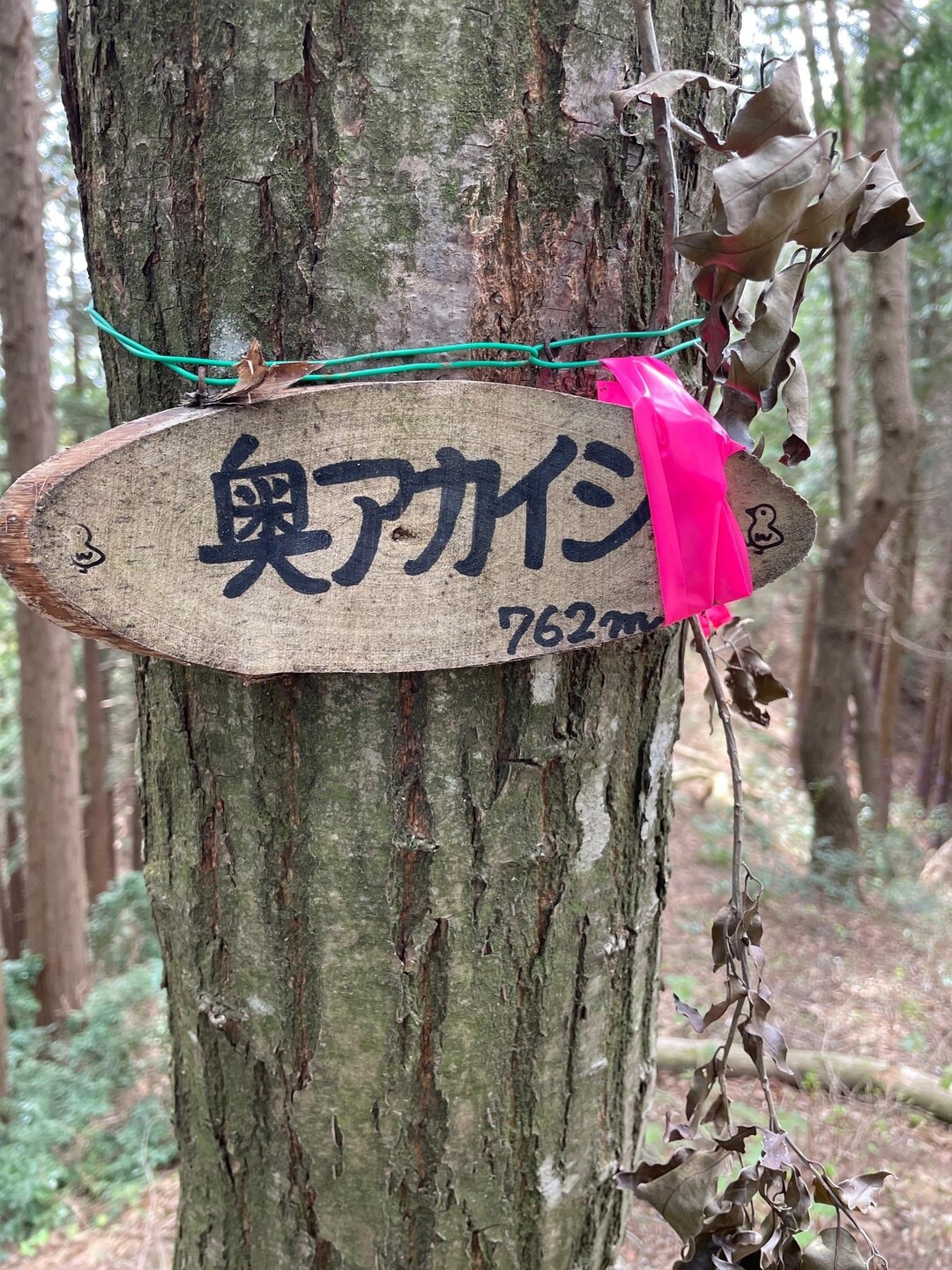 アカイシ・奥アカイシ / Toccoさんの押立山の活動データ | YAMAP / ヤマップ