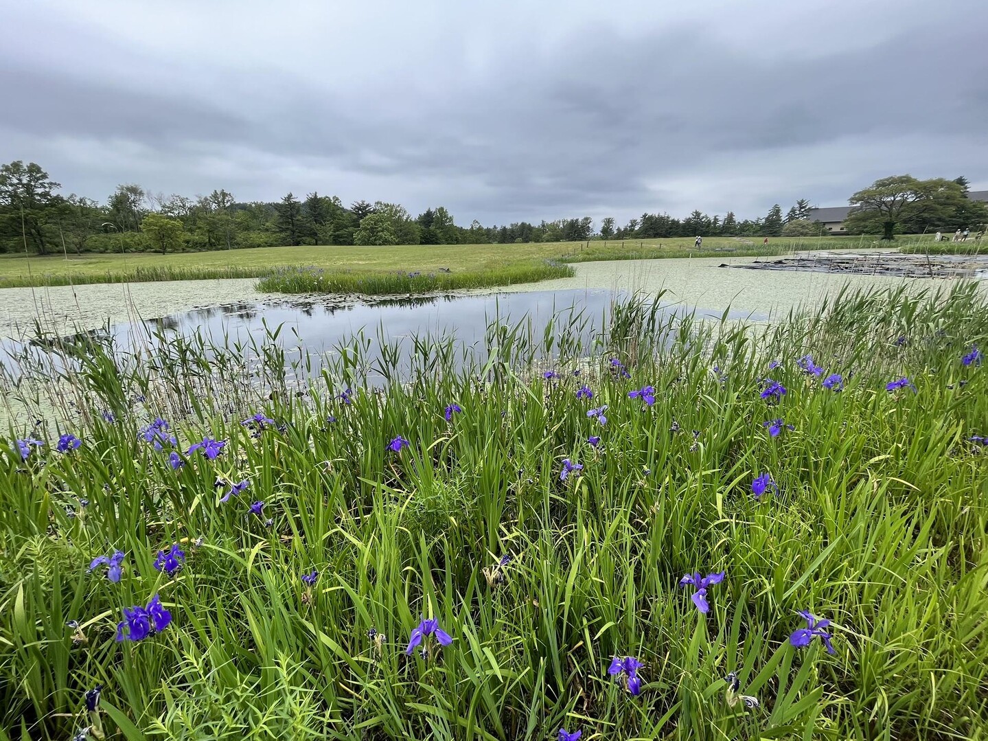 男三瓶山(三瓶山) / marumoさんの三瓶山・大平山の活動データ | YAMAP / ヤマップ
