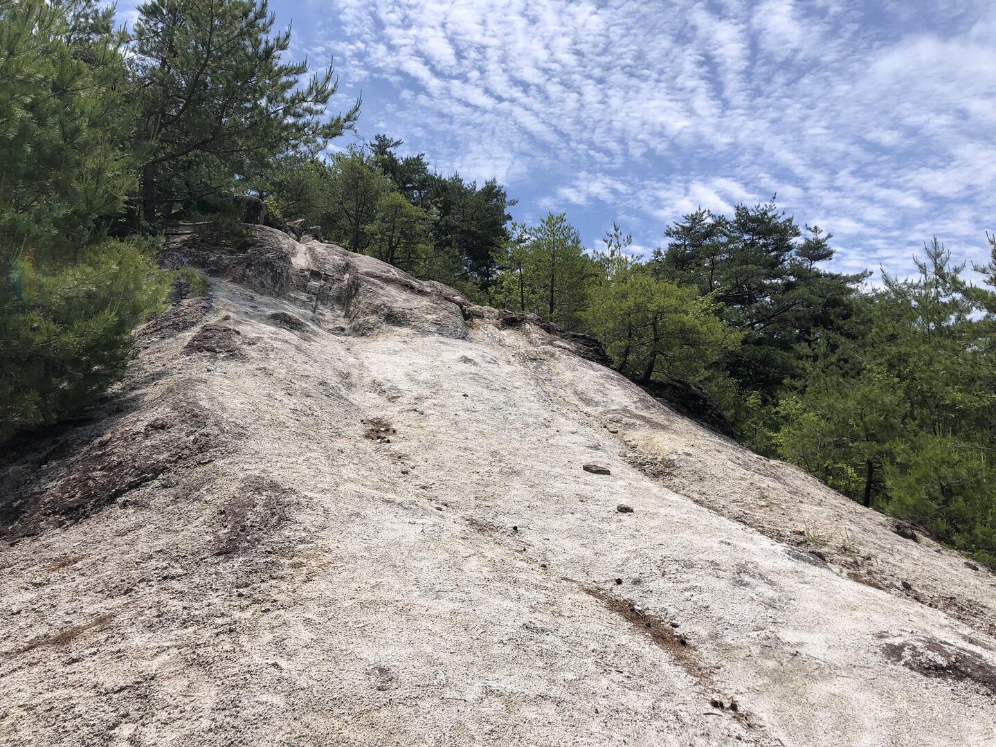 甲府周辺マイカーハイク⑦（八王子山（白山）・天狗山） / kiyoさんの興因寺山・淡雪山・八王子山の活動日記 | YAMAP / ヤマップ
