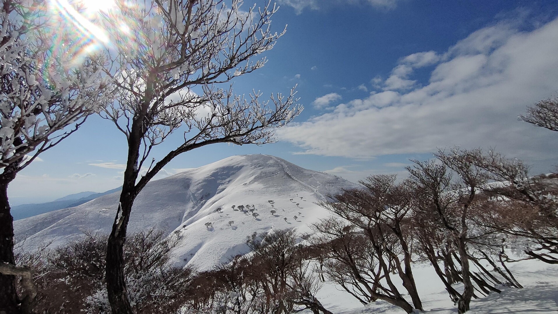 竜ヶ岳 / S kazuさんの竜ヶ岳の活動データ | YAMAP / ヤマップ