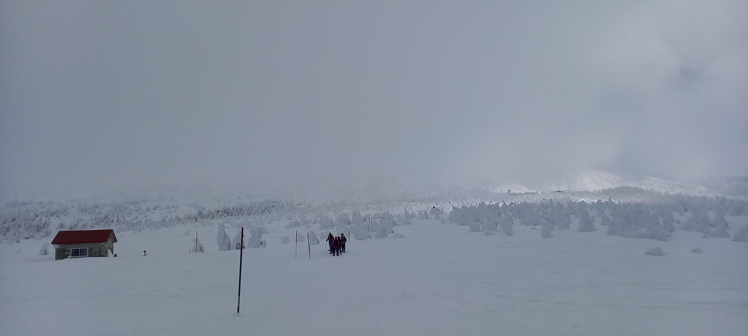 SKI登山 刈田岳 & SKI♯8 蔵王ライザワールド / ソロ山さんの蔵王山・雁戸山・不忘山の活動データ | YAMAP / ヤマップ