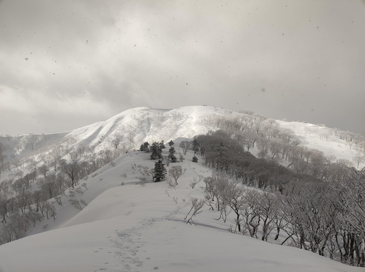 大日ヶ岳・天狗山 / dk0711さんの大日ヶ岳・毘沙門岳の活動データ | YAMAP / ヤマップ