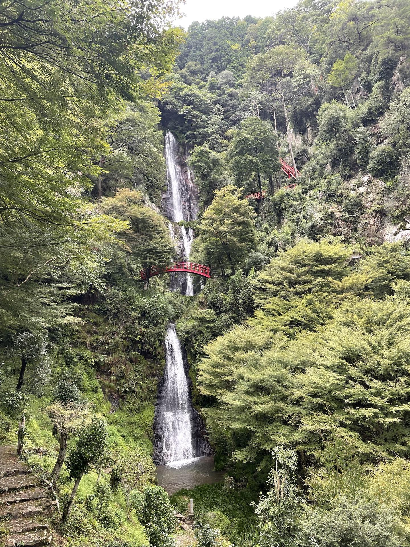 大船権現山・天神山・五宝滝 / HWさんの久田見山（砥山）の活動データ | YAMAP / ヤマップ