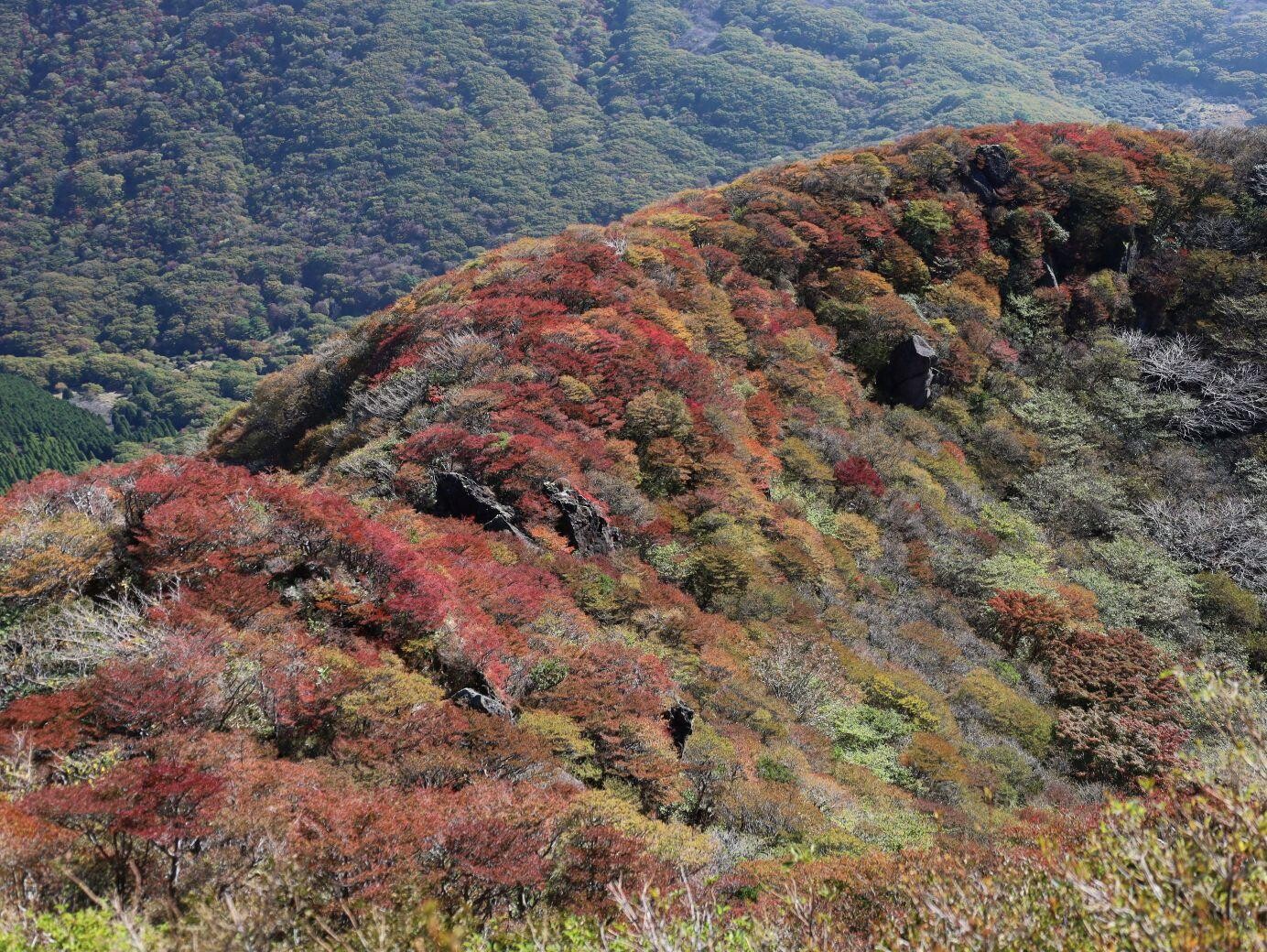 三俣山～星生山～沓掛山 / toshil-_-lさんの九重山（久住山）・大船山・星生山の活動データ | YAMAP / ヤマップ