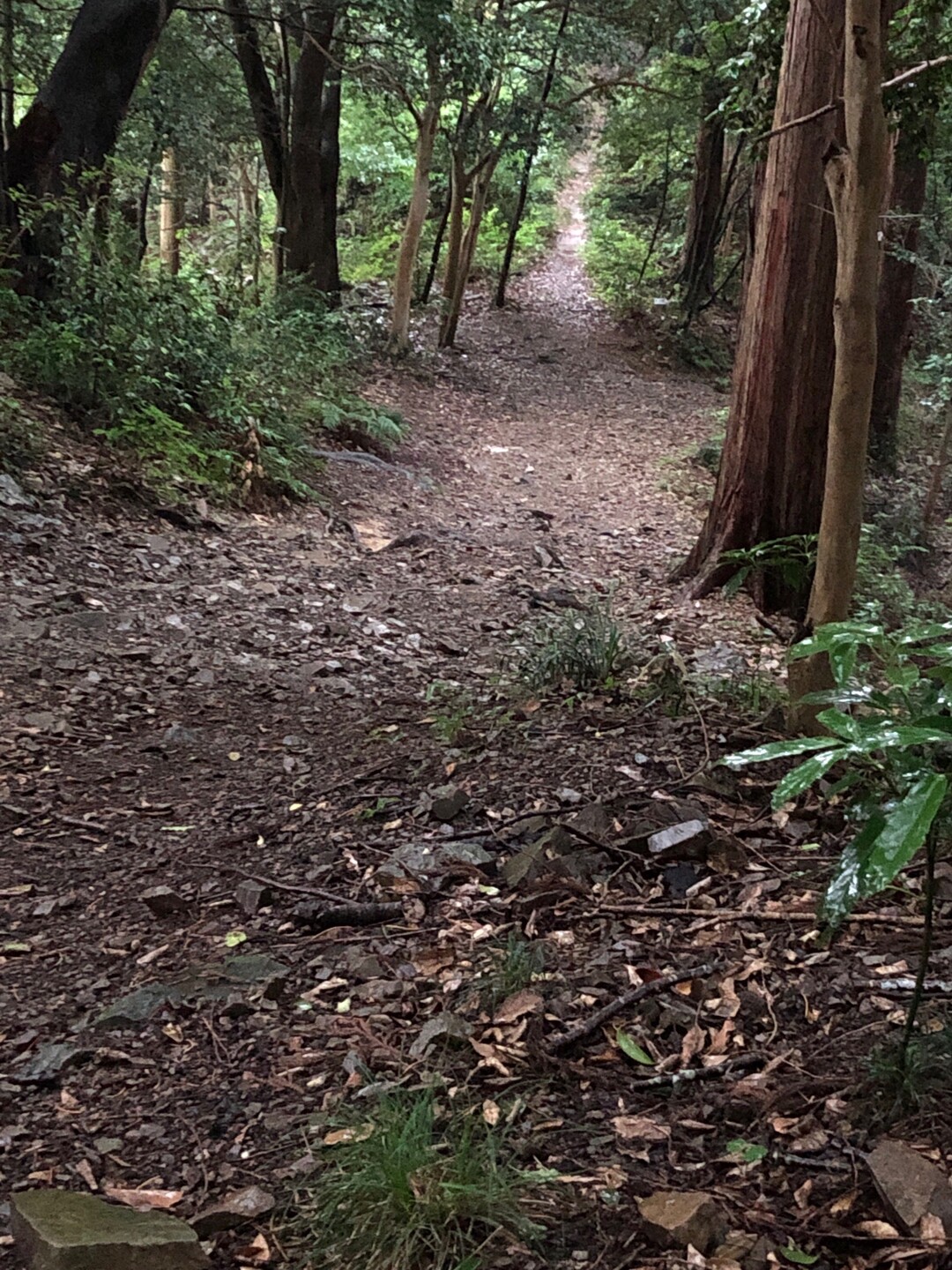 Neko⭐︎💫⭐︎さんの投稿したフィールドメモ | YAMAP / ヤマップ
