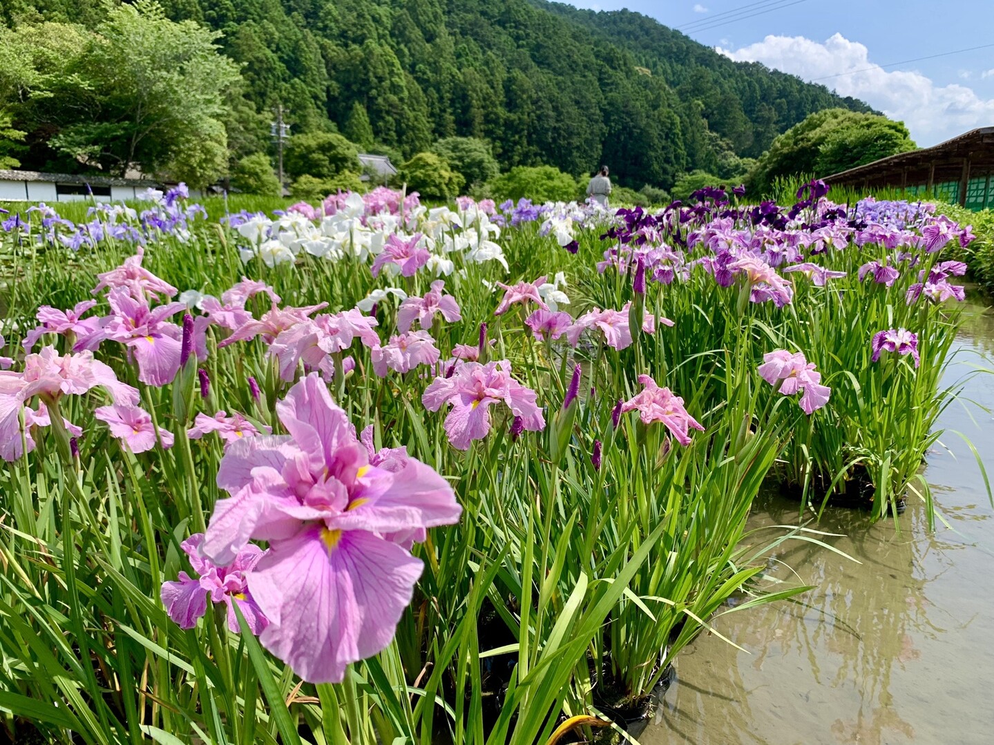 晴れた日の週末は、お山歩がしたい😌💕... / ｡*ﾟ☆Tomo｡*ﾟ☆ さんのモーメント | YAMAP / ヤマップ