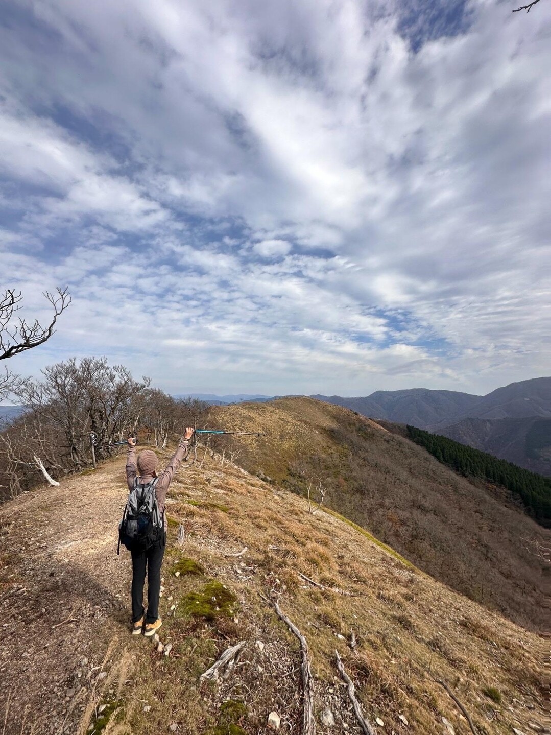 綿向山・竜王山 / mamiさんの綿向山の活動データ | YAMAP / ヤマップ