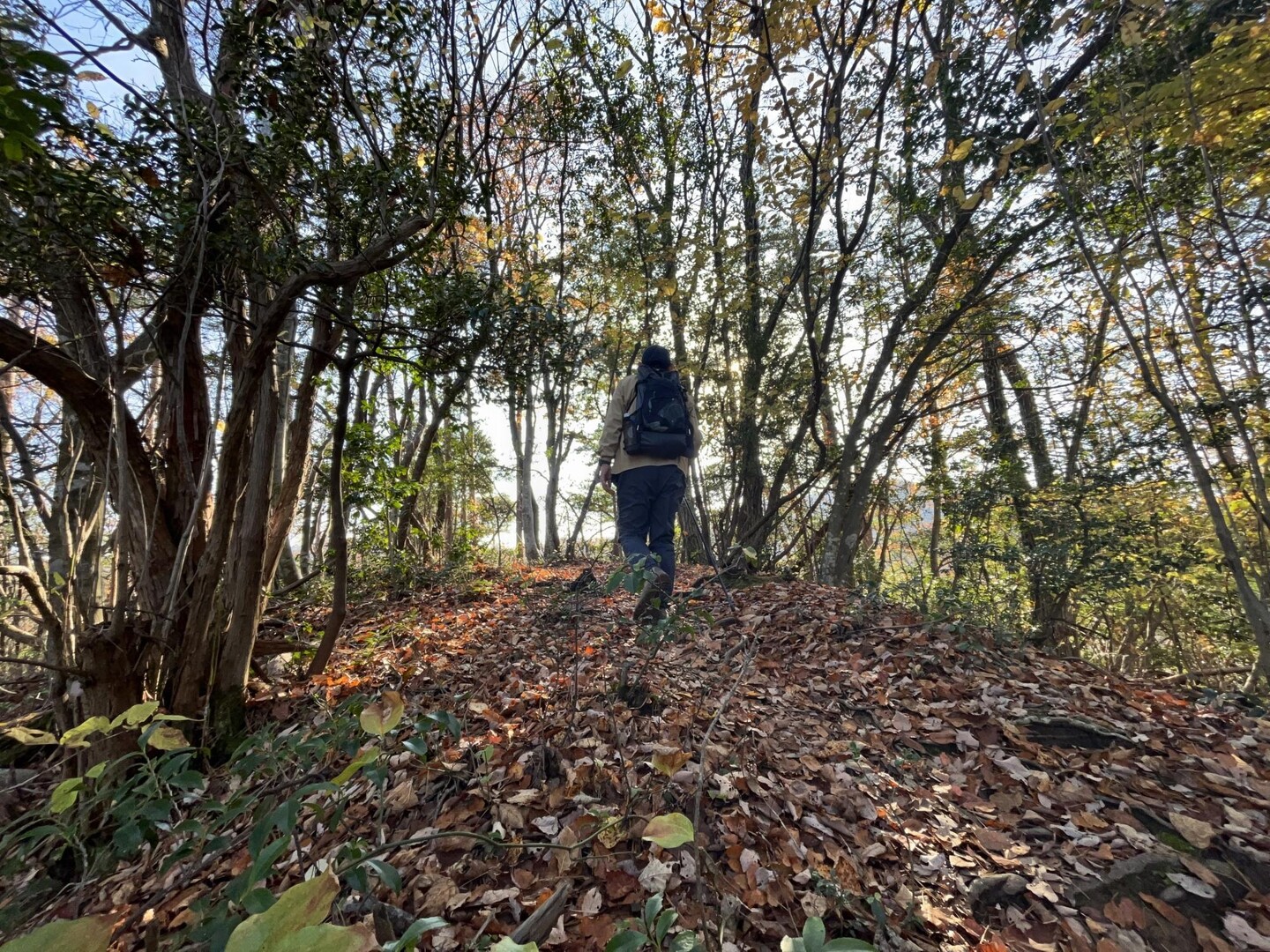 歩く旅に目覚めて3年目に入り、ますます山... / NAOZOさんのモーメント | YAMAP / ヤマップ