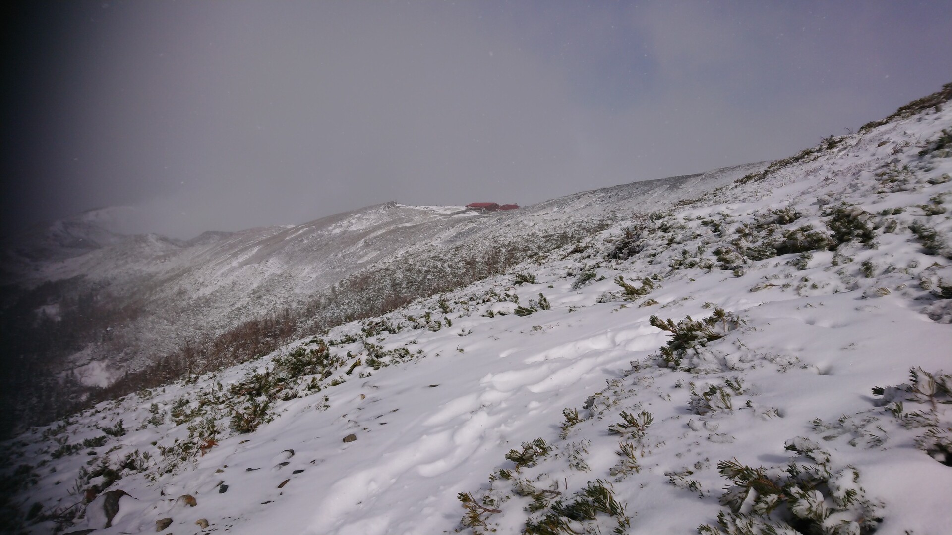 長塀山・蝶ヶ岳 / taki-yanさんの常念岳・大天井岳・燕岳の活動データ | YAMAP / ヤマップ